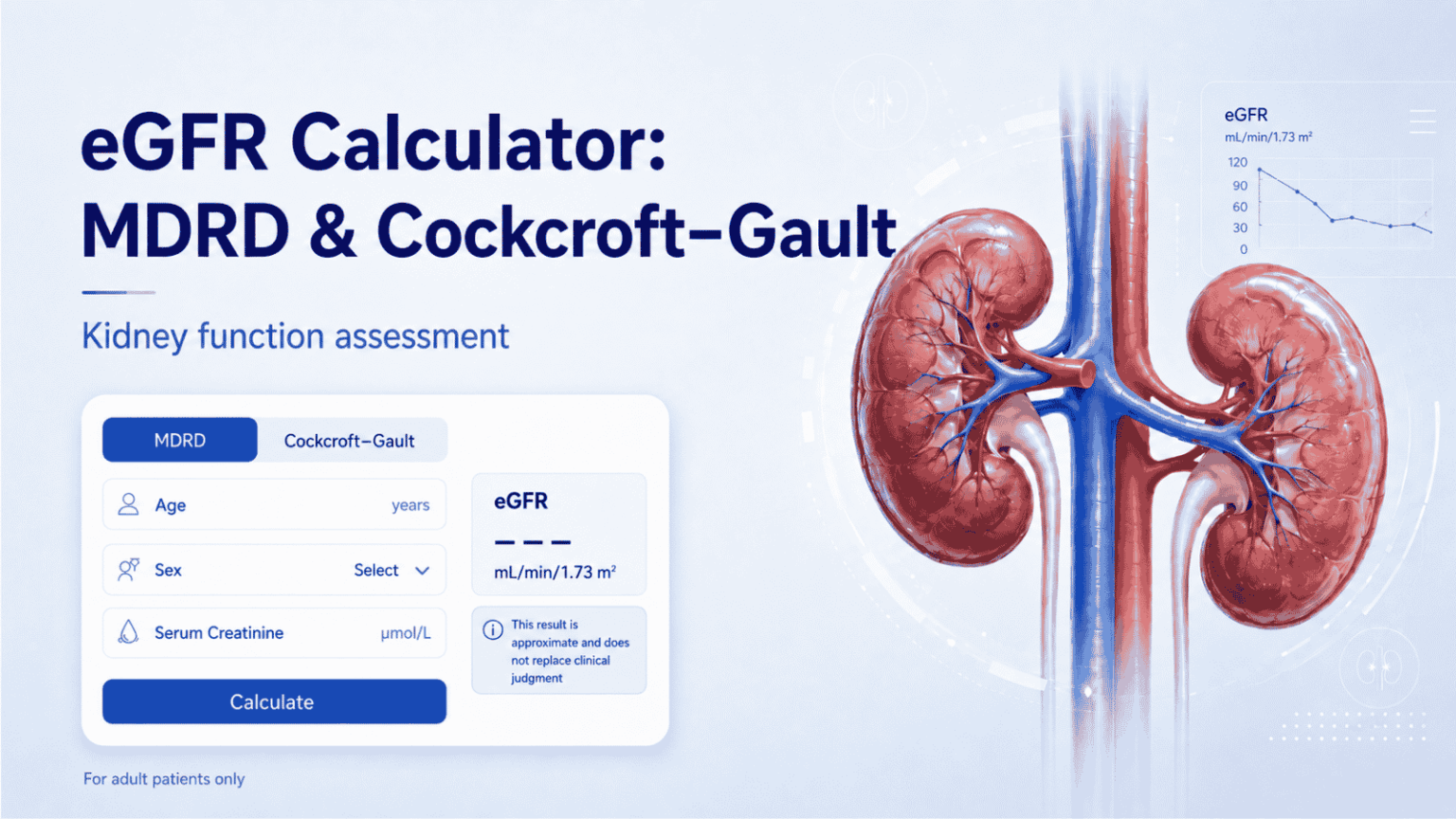 eGFR Calculator MDRD and Cockcroft–Gault Online